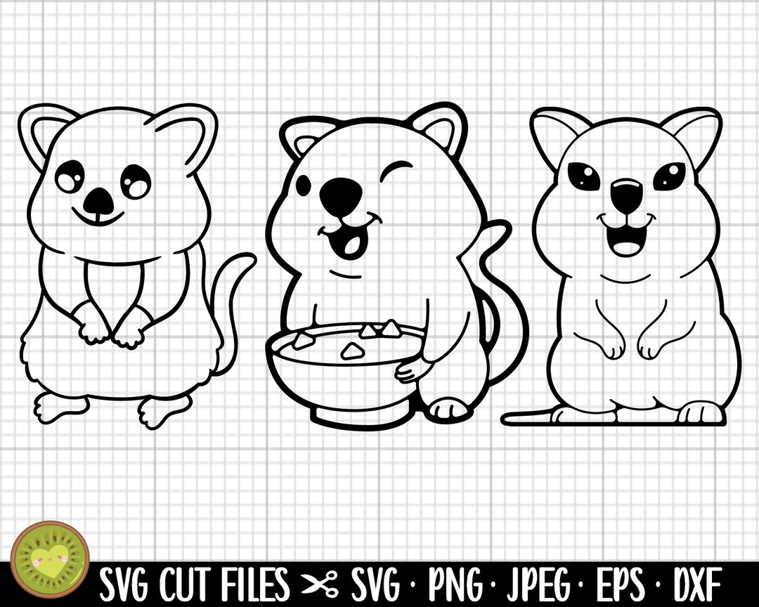 Quokka Svg Bundle Cricut Quokka Png Bundle - Etsy Australia