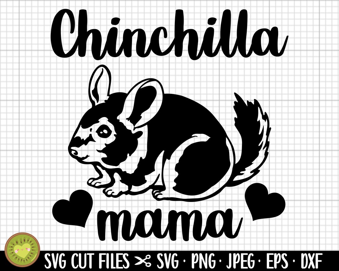 Chinchilla Svg Chinchilla Png - Etsy