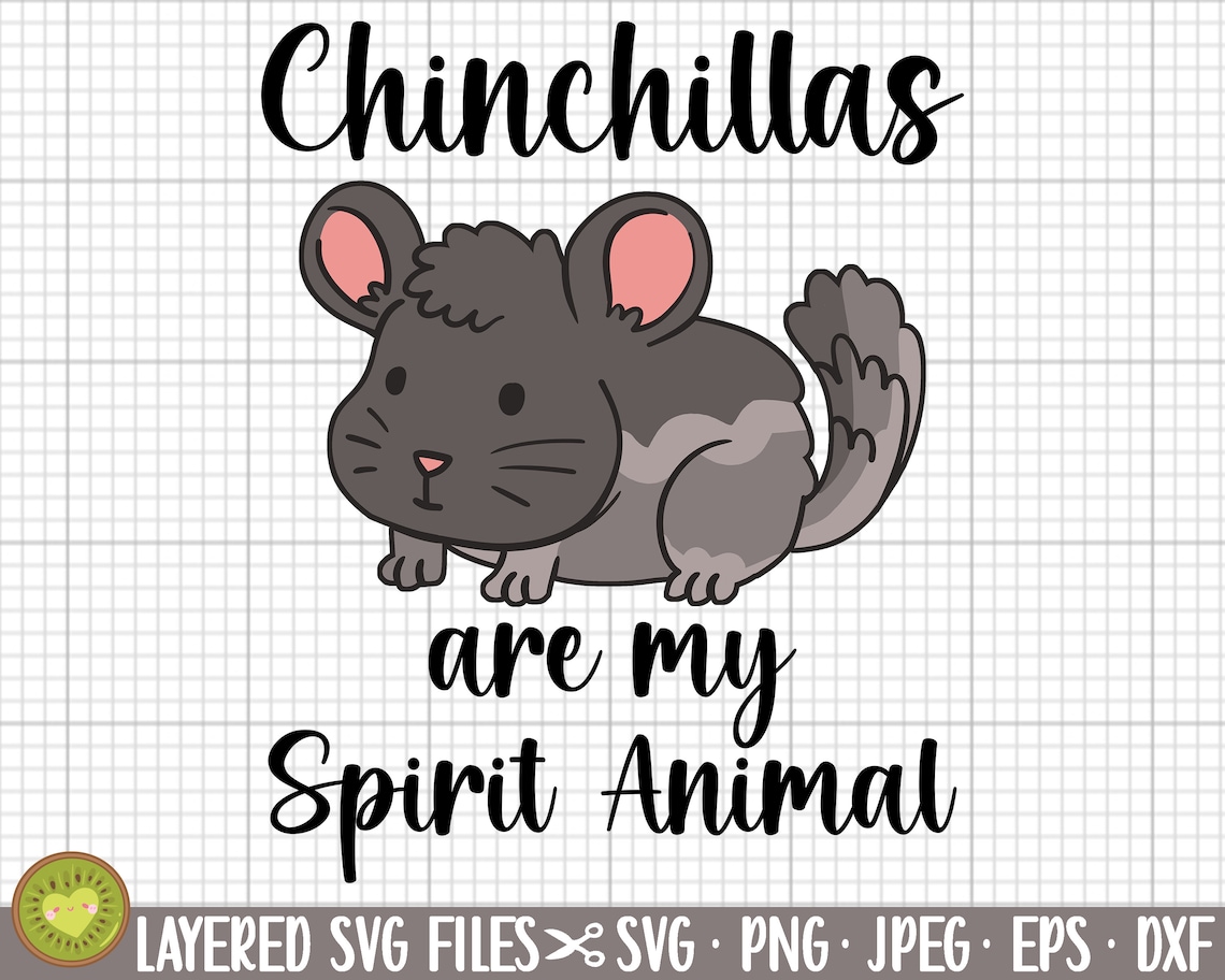 Chinchilla Svg Chinchilla Png Chinchilla Lover Svg Chinchilla Lover Png ...