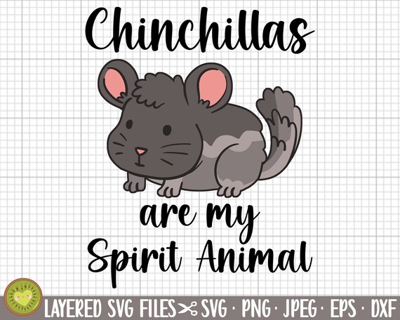 Chinchilla Svg Chinchilla Png Chinchilla Lover Svg Chinchilla - Etsy