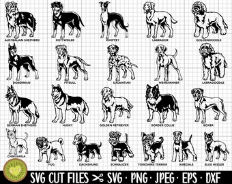 Dog Border Svg - Etsy