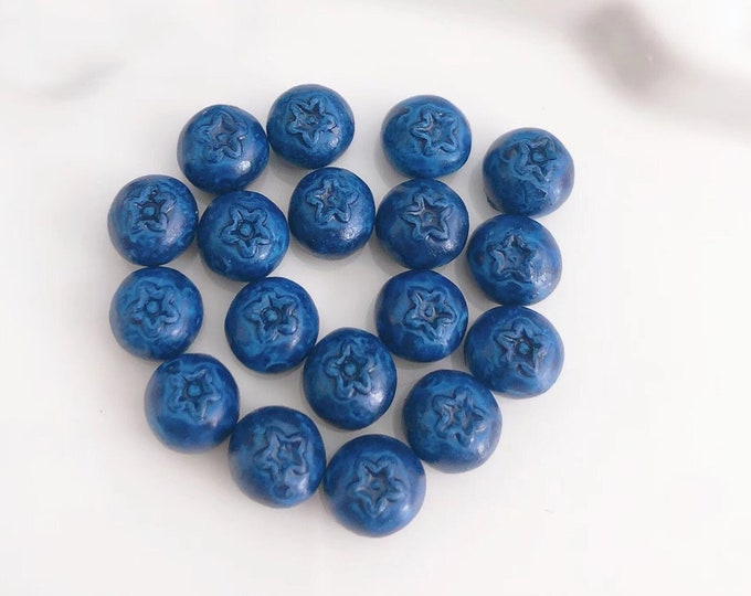 Blueberry Magnets - Etsy