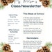 Woodlands Classroom Newsletter Bundle: Digital, Editable, Printable ...