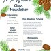 Woodlands Classroom Newsletter Bundle: Digital, Editable, Printable ...