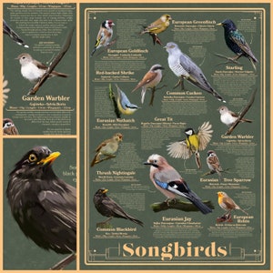 Songbirds • Original Art Print - Etsy