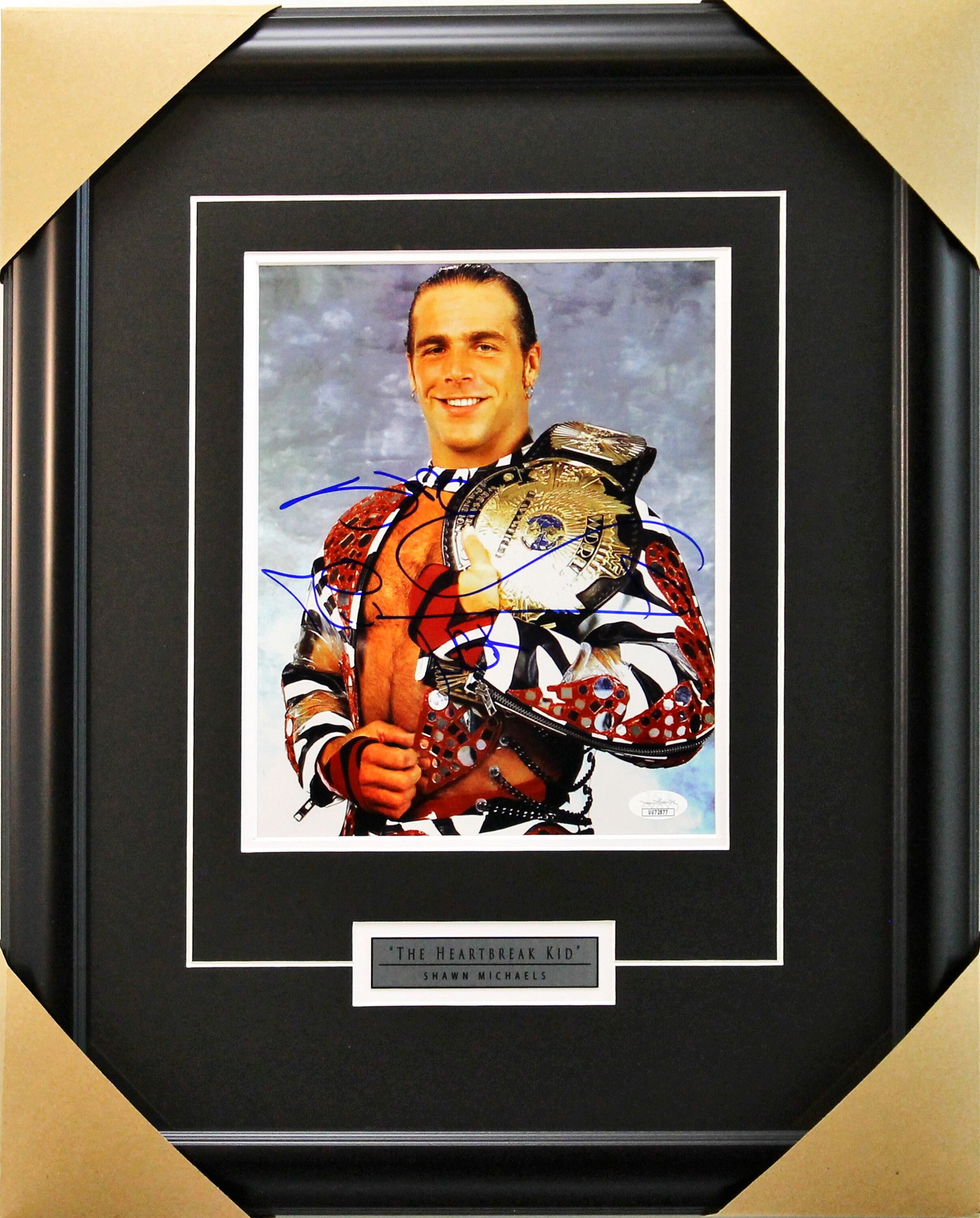 Shawn Michaels Signed Autograph WWE WWF Wrestling 8x10 Framed - Etsy