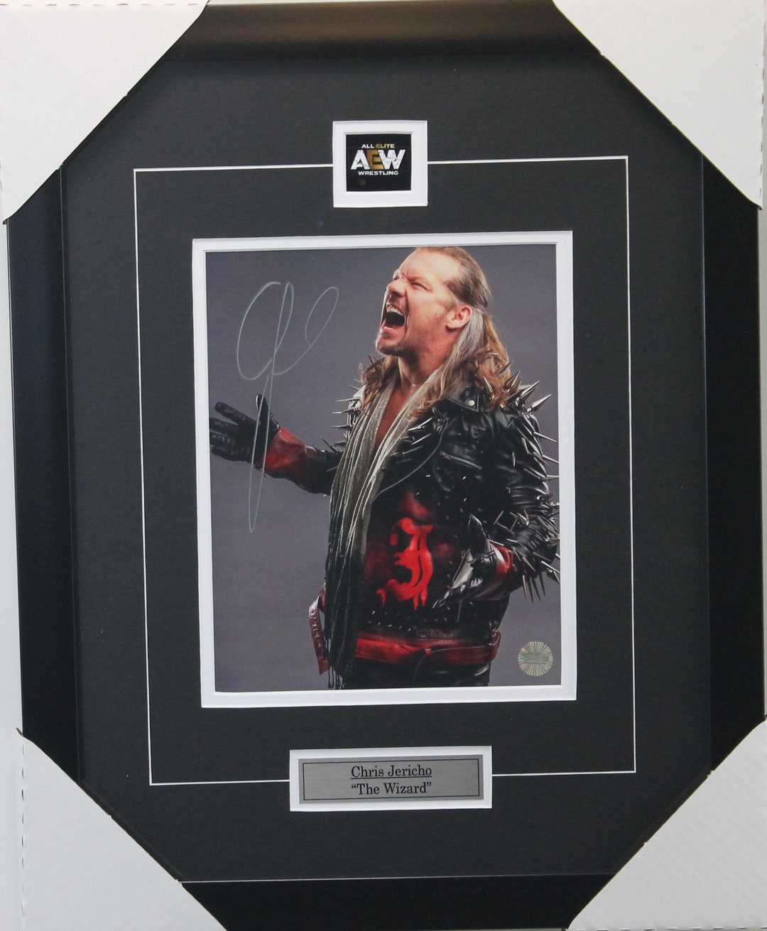 Chris Jericho Signed Autograph AEW WWE Wrestling 8x10 Framed - Etsy