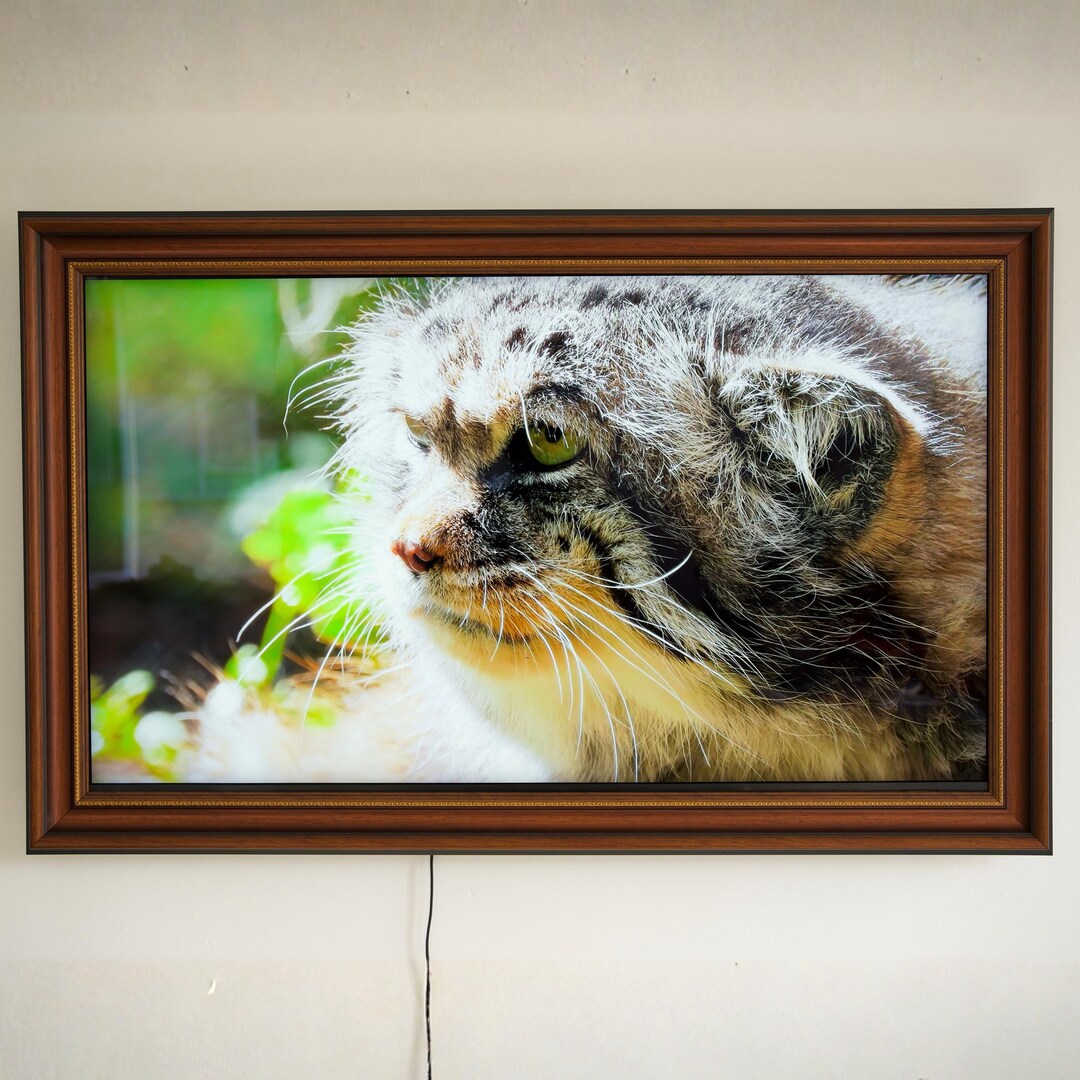 Custom TV Frame, Compatible for Samsung LG Decorative Frame, Samsung ...