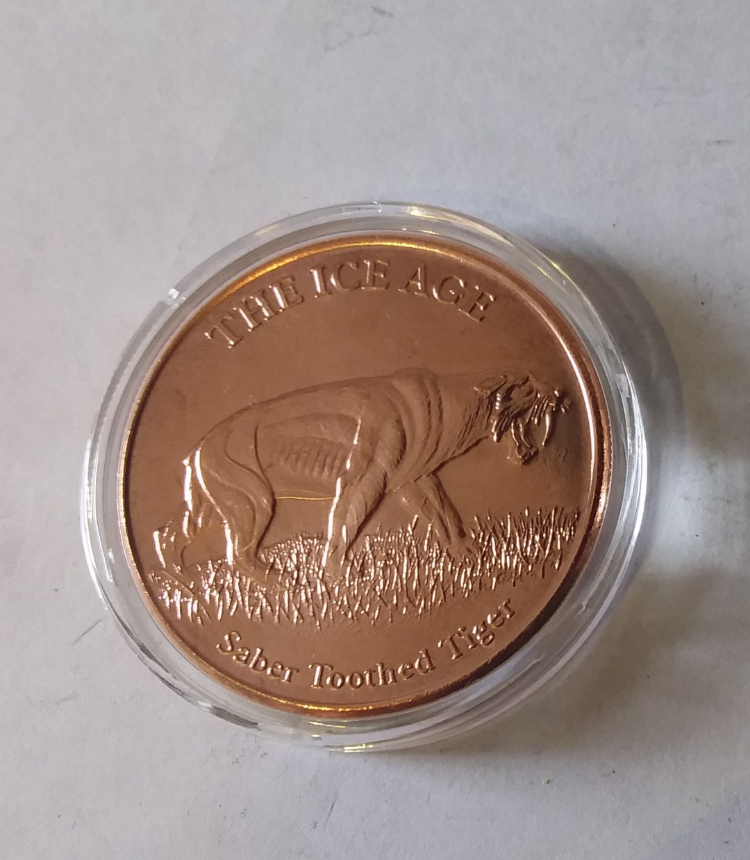 Saber Toothed Tiger Copper Round - Etsy