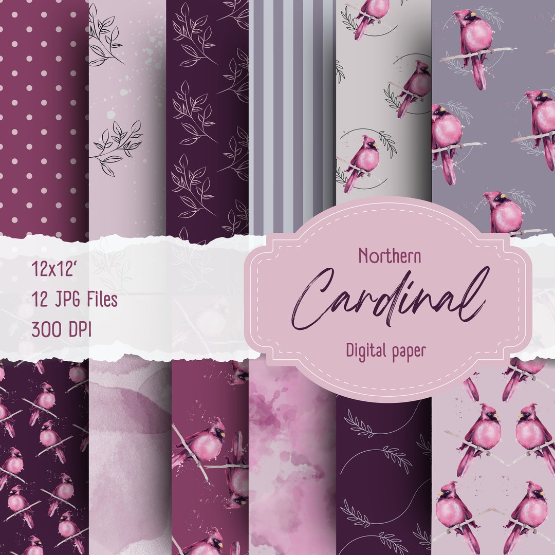 Soft Pink Patterns Birds | Digital Paper Pack - 12 Jpegs | Northern ...