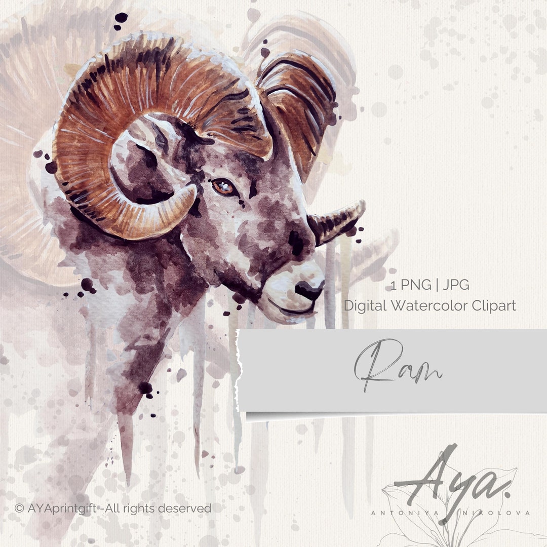 Watercolor Ram Clipart | PNG Ram Gift for Craft | Hand Painted Animal ...