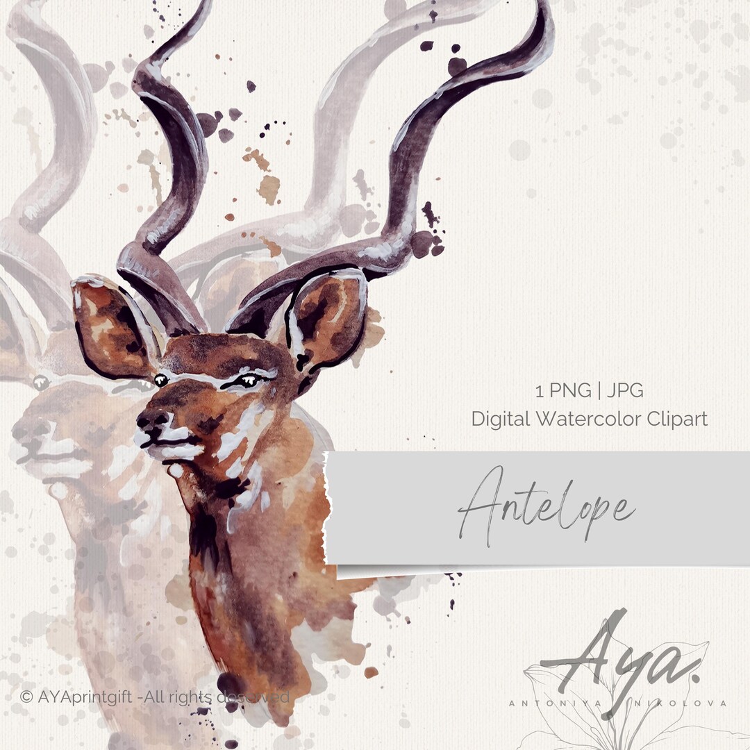 Antelope Clipart Watercolor | Hand Painted Animal | Antelope Images ...