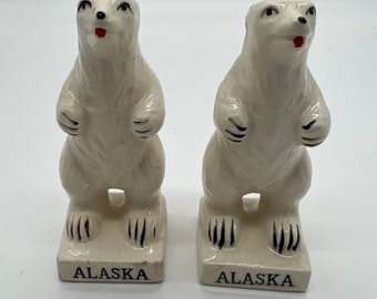Alaska Salt Shaker - Etsy