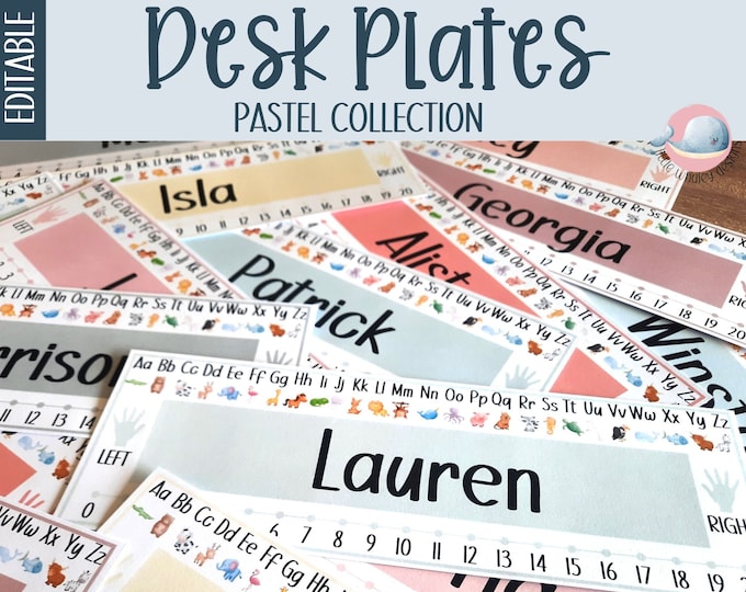 Student Desk Plates and Supply Labels Modern BOHO 12 Colors Primary ...