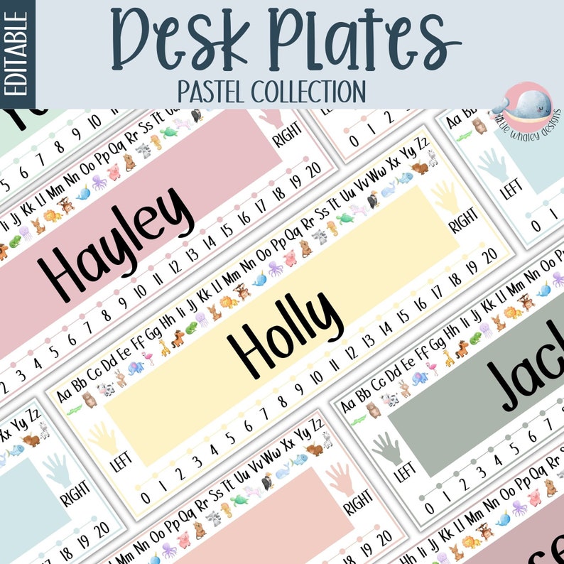 Student Desk Plates, Student Name Cards, Student Desk Tags, Student ...