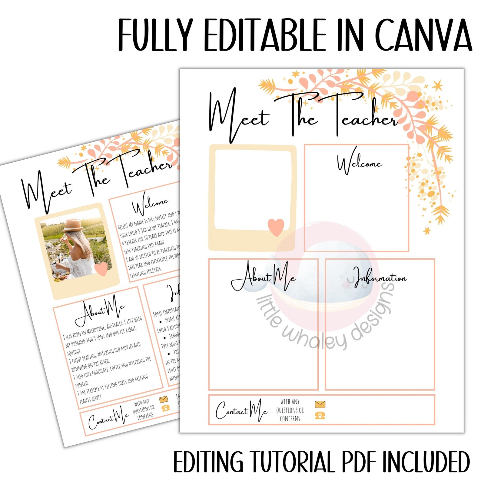 Editable Meet the Teacher Template, Printable Teacher Handout, Parent ...