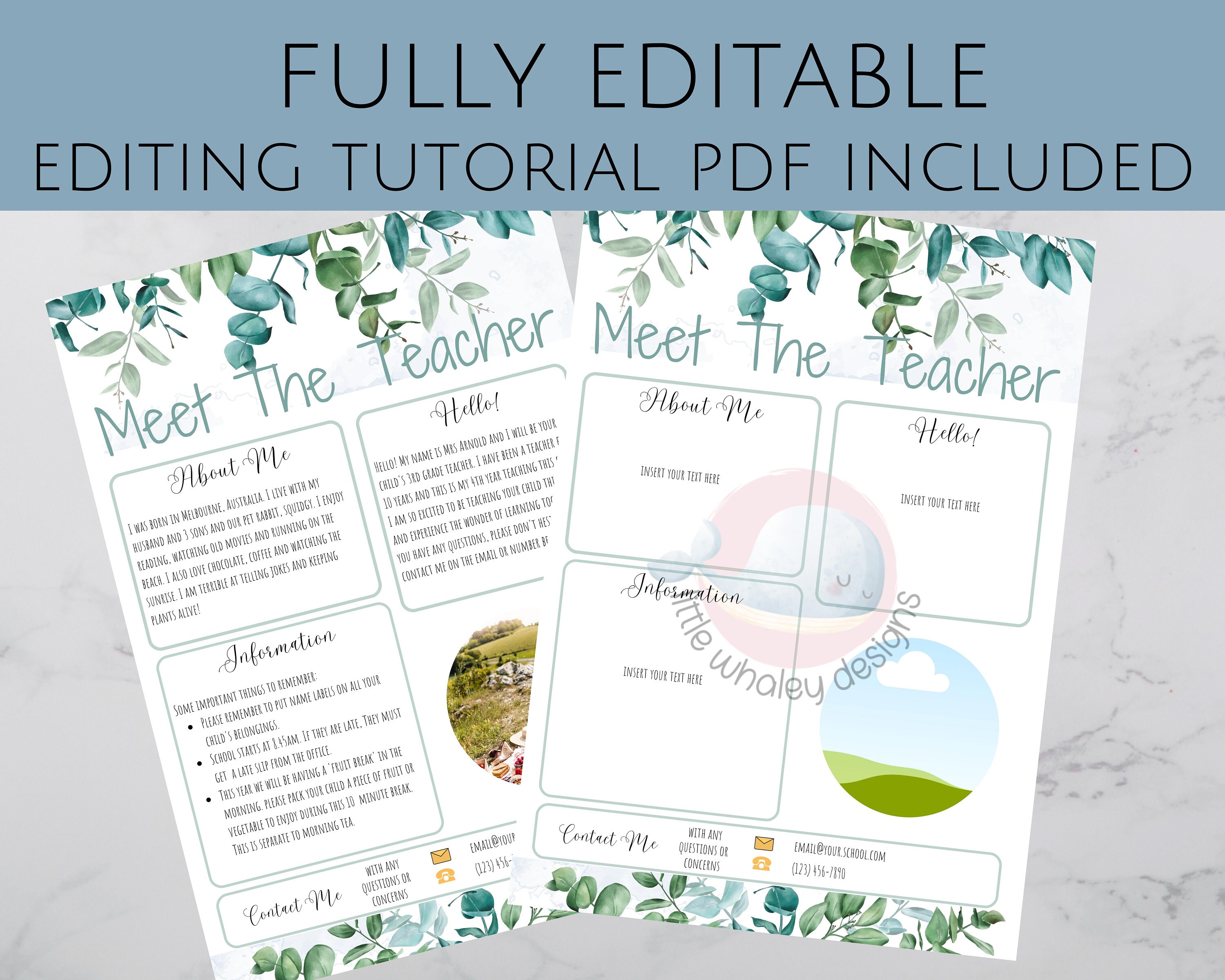 Meet the Teacher Editable Template Printable Teacher Handout - Etsy ...