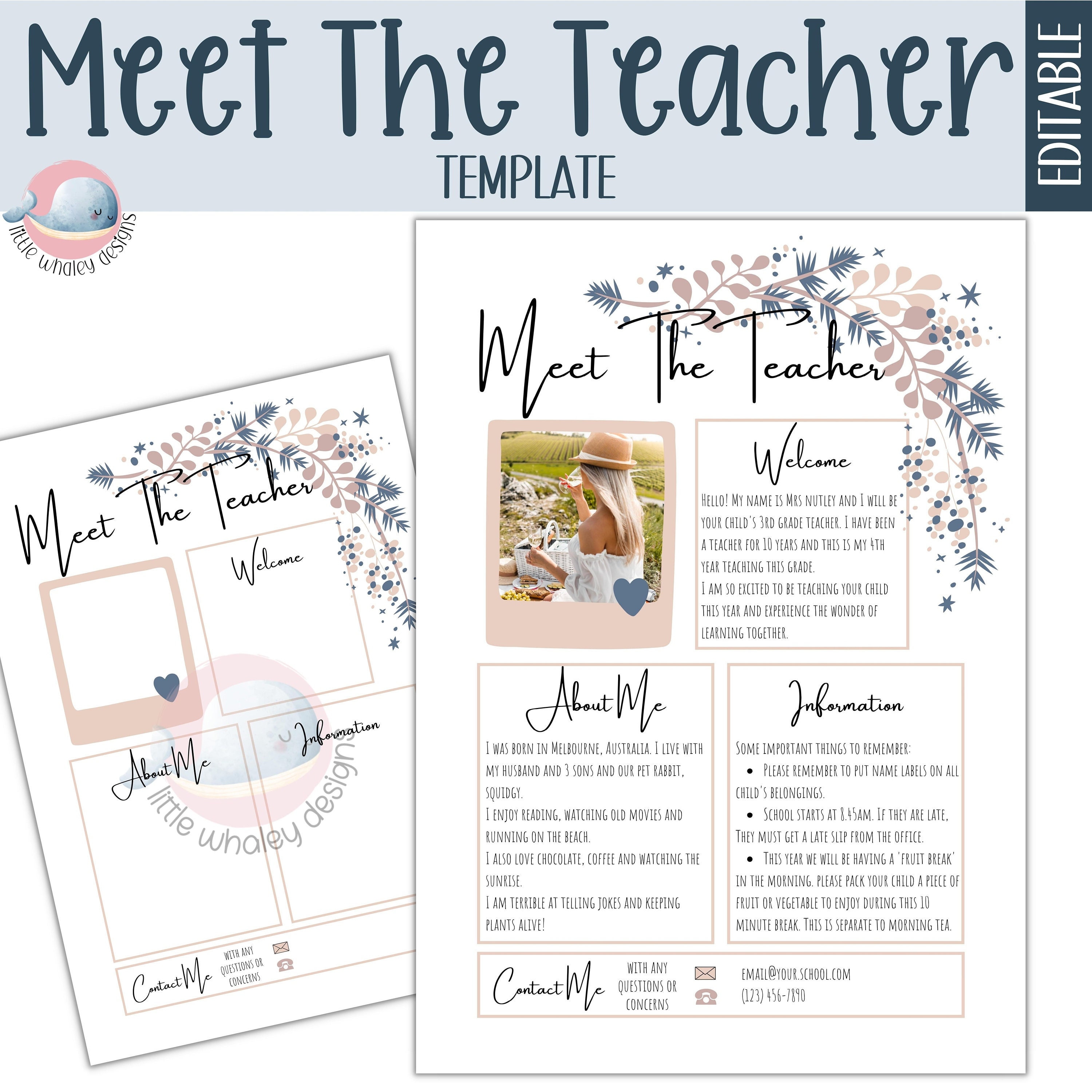 All About Me Template Teacher