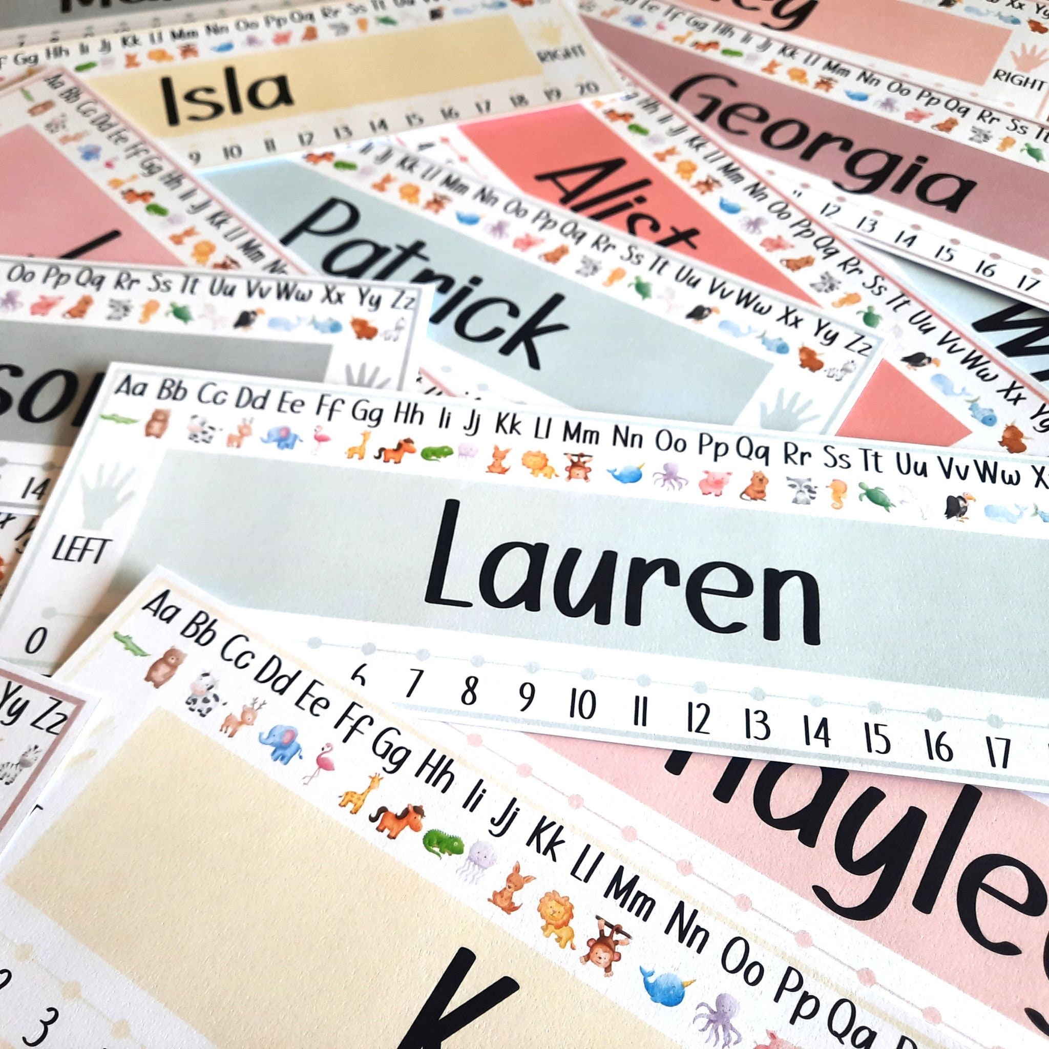 Student Desk Plates, Student Name Cards, Student Desk Tags, Student ...