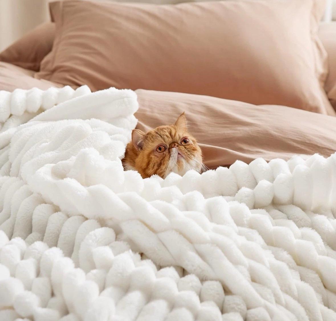 White Throw Blanket Couch Super Cozy Soft Warm Plush Fleece - Etsy