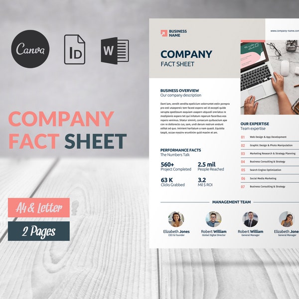Canva Fact Sheet Template - Etsy
