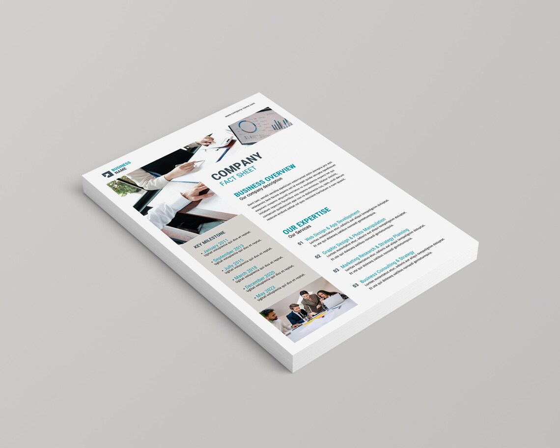 Business Fact Sheet Template Canva, Business Profile Word Template ...