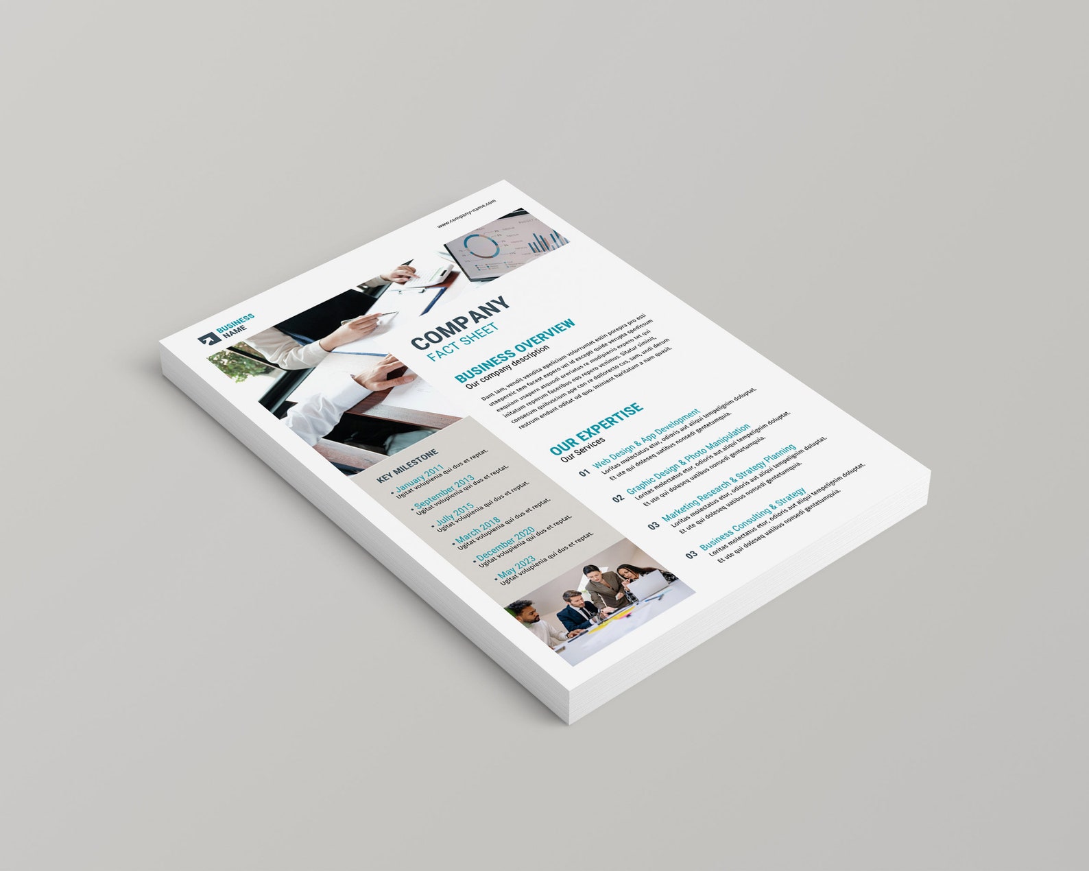 Business Fact Sheet Template Canva, Business Profile Word Template ...