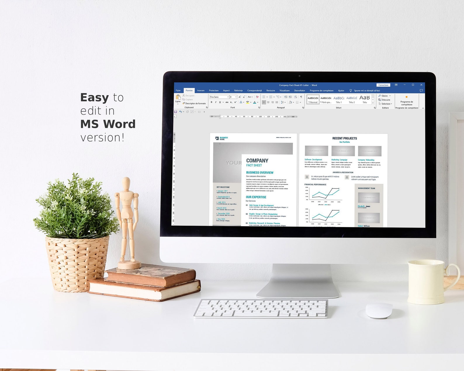 Business Fact Sheet Template Canva, Business Profile Word Template ...