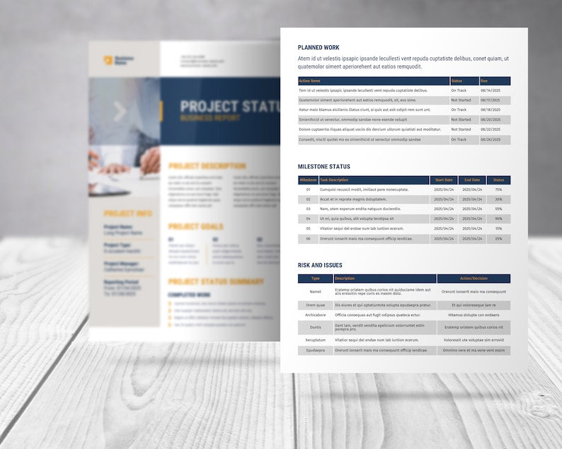 Project Status Report Template Canva, Project Summary MS Word, Progress ...