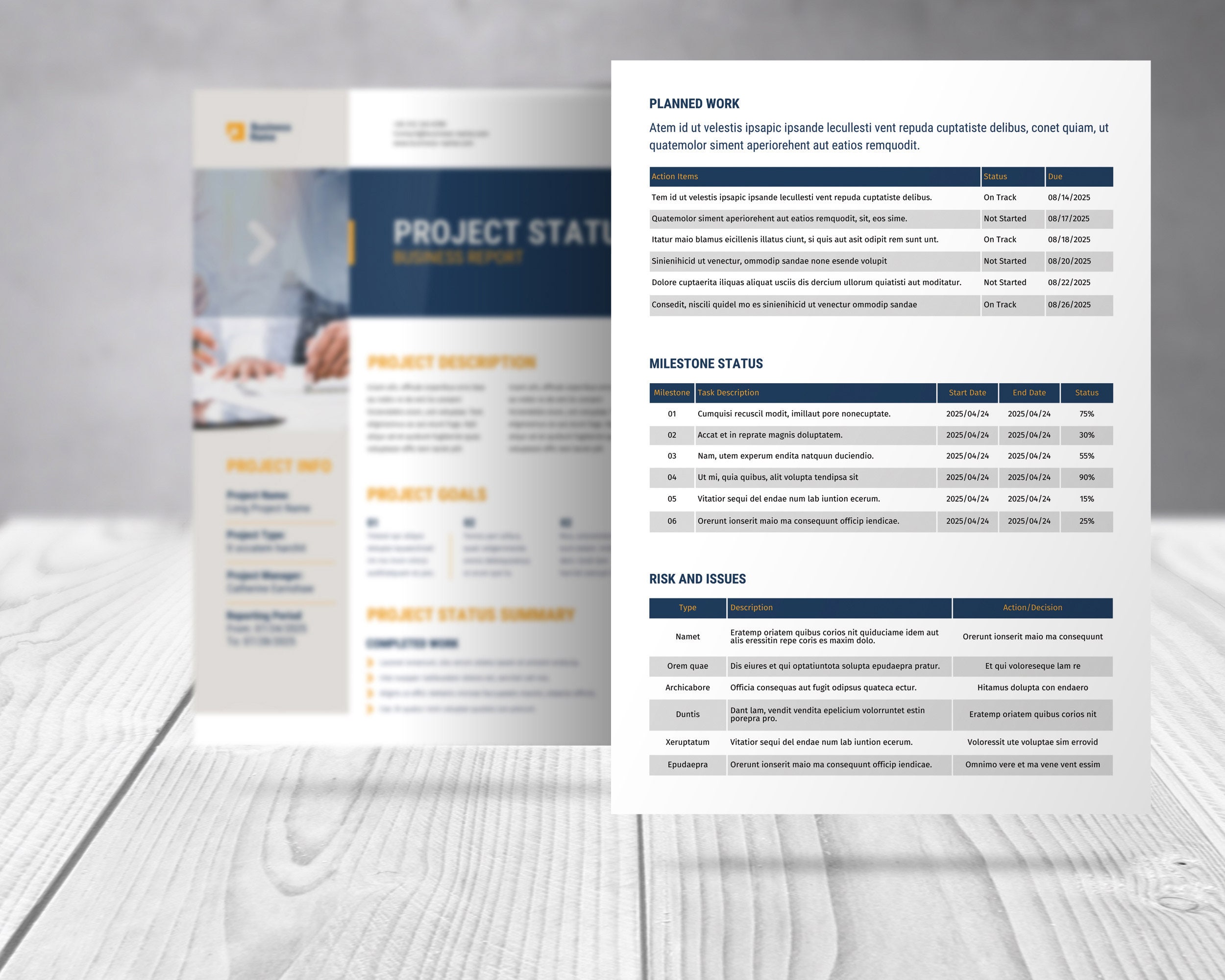 Project Status Report Template Canva, Project Summary MS Word, Progress ...