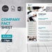Business Fact Sheet Template Canva, Business Profile Word Template ...