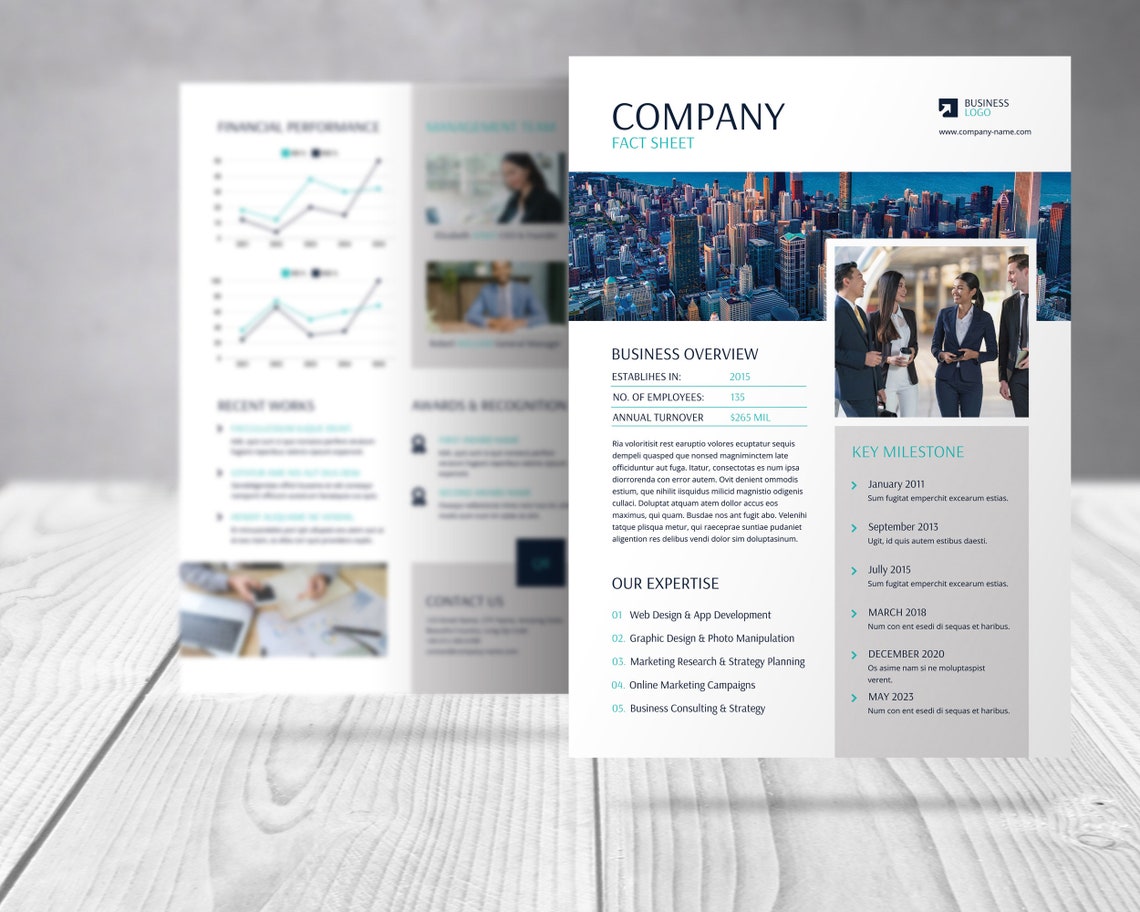 Business Fact Sheet Template Canva, Company Fact Sheet Word Template ...