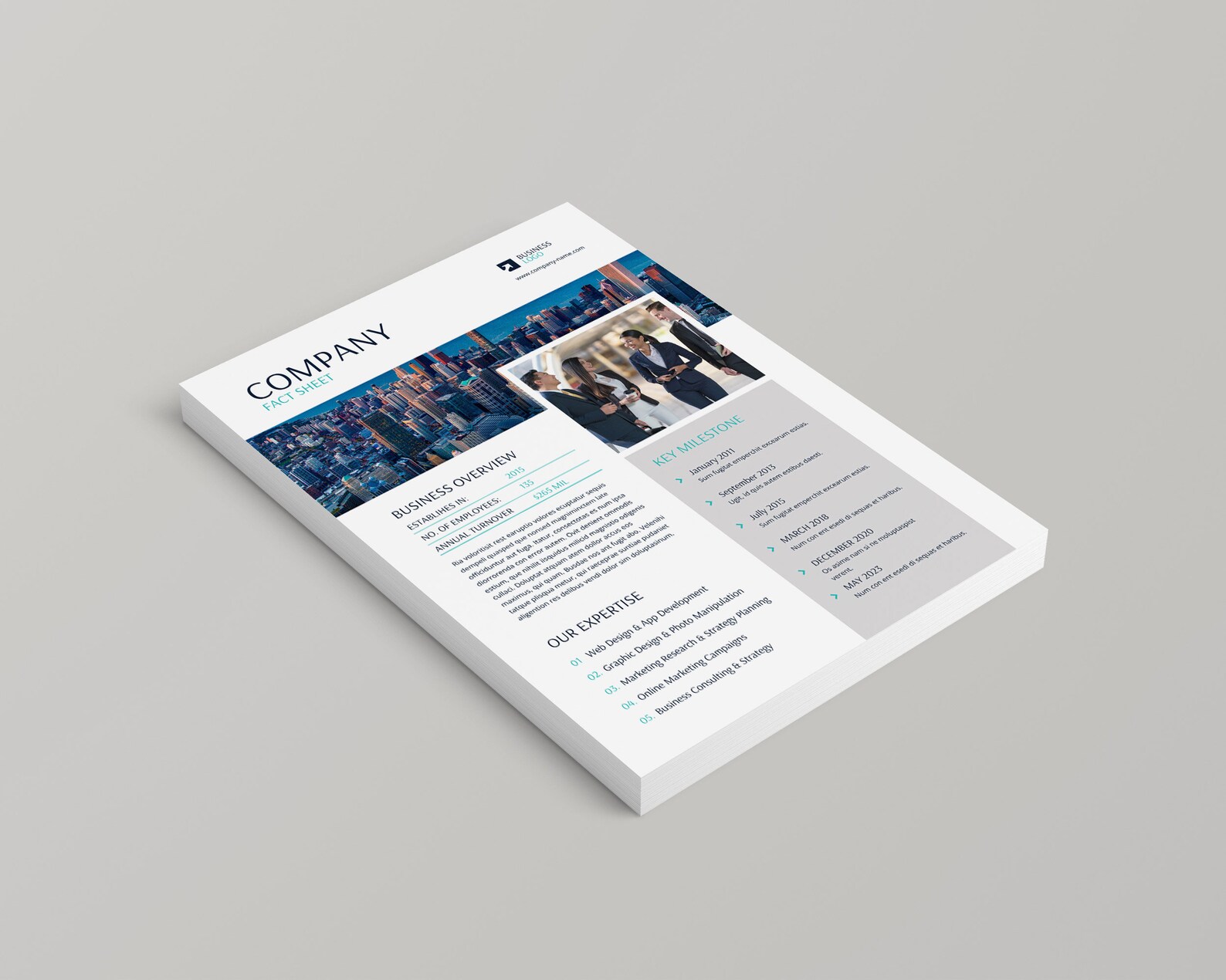 Business Fact Sheet Template Canva, Company Fact Sheet Word Template ...