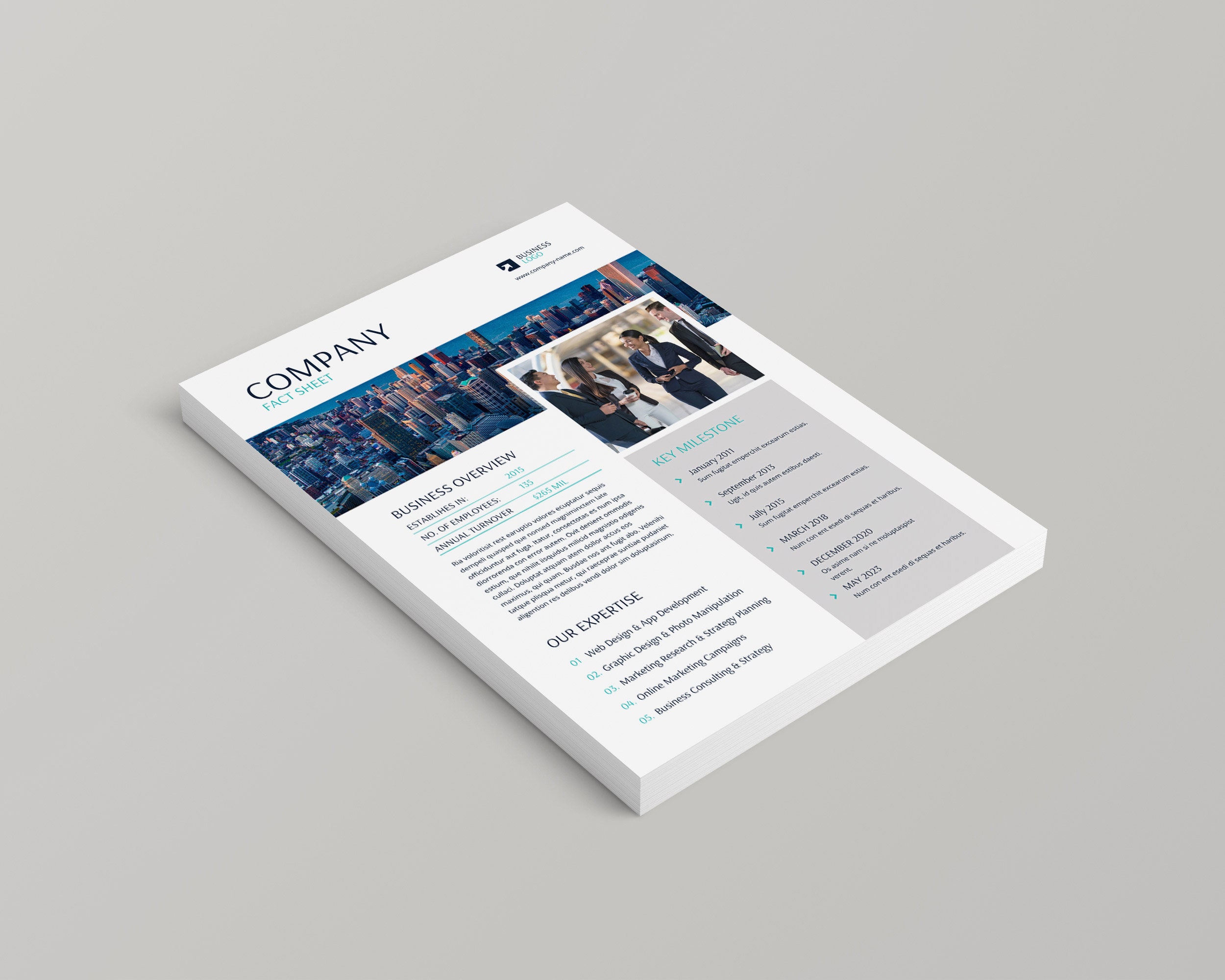 Business Fact Sheet Template Canva, Company Fact Sheet Word Template ...