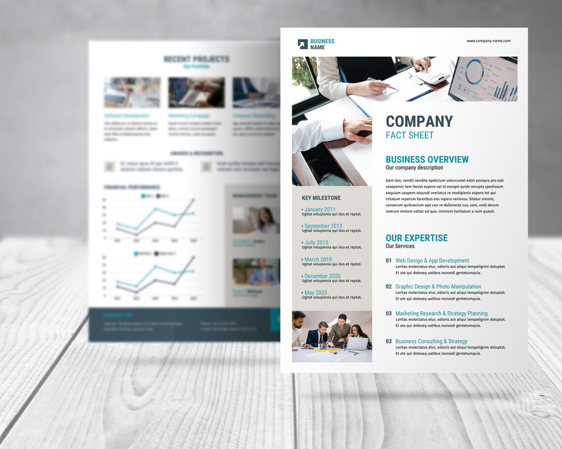 Business Fact Sheet Template Canva, Business Profile Word Template ...