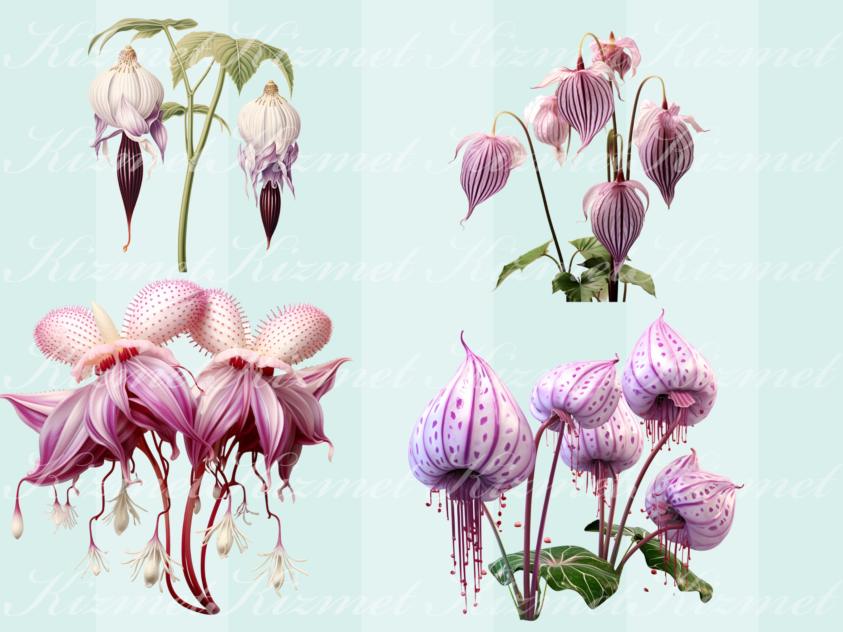 24 3D Flowers Spooky Clipart PNG Files Fun Digital - Etsy