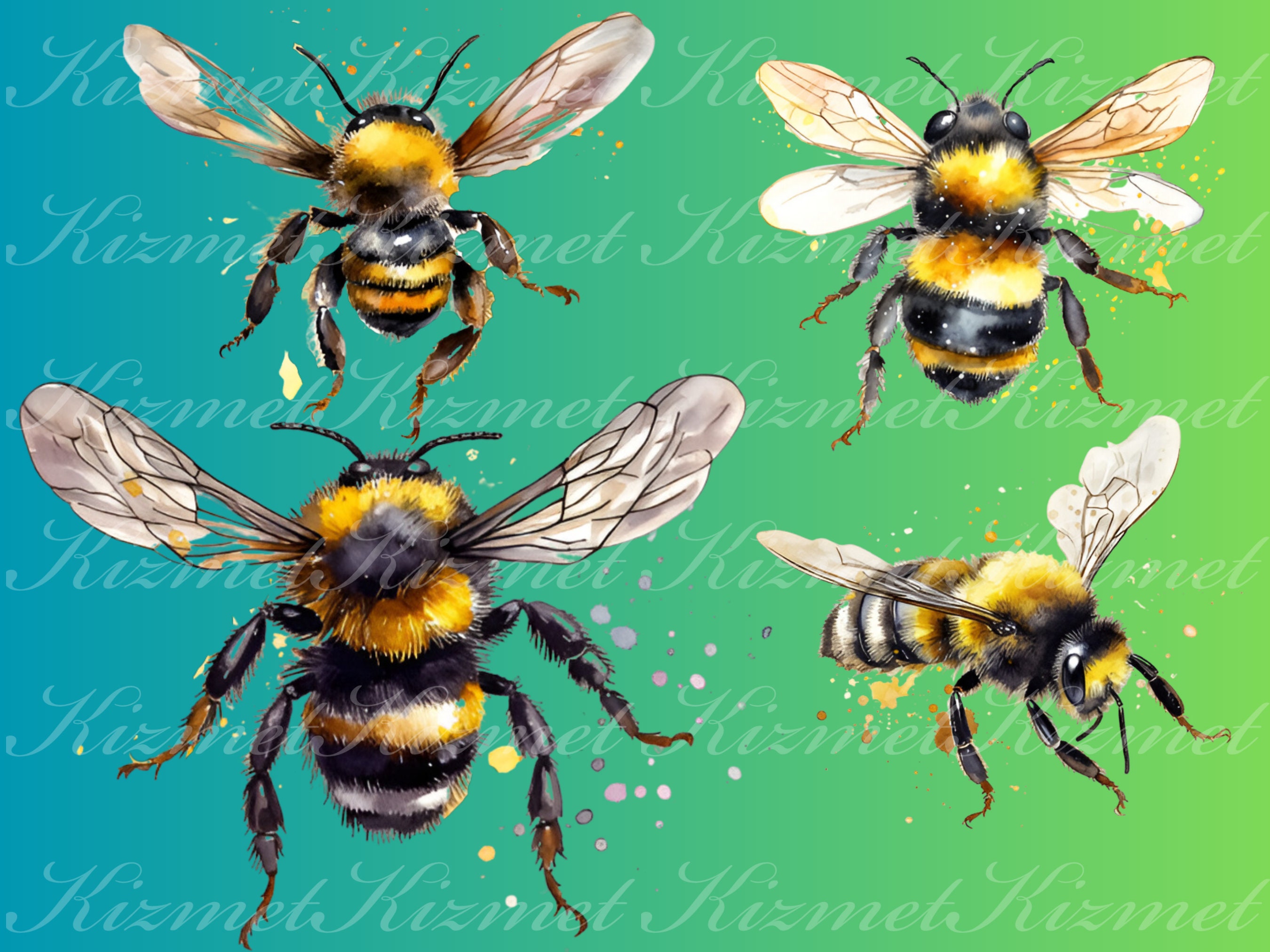 Set of 24 Watercolor Bumblebee Clipart PNG Files, Digital Downloads for ...