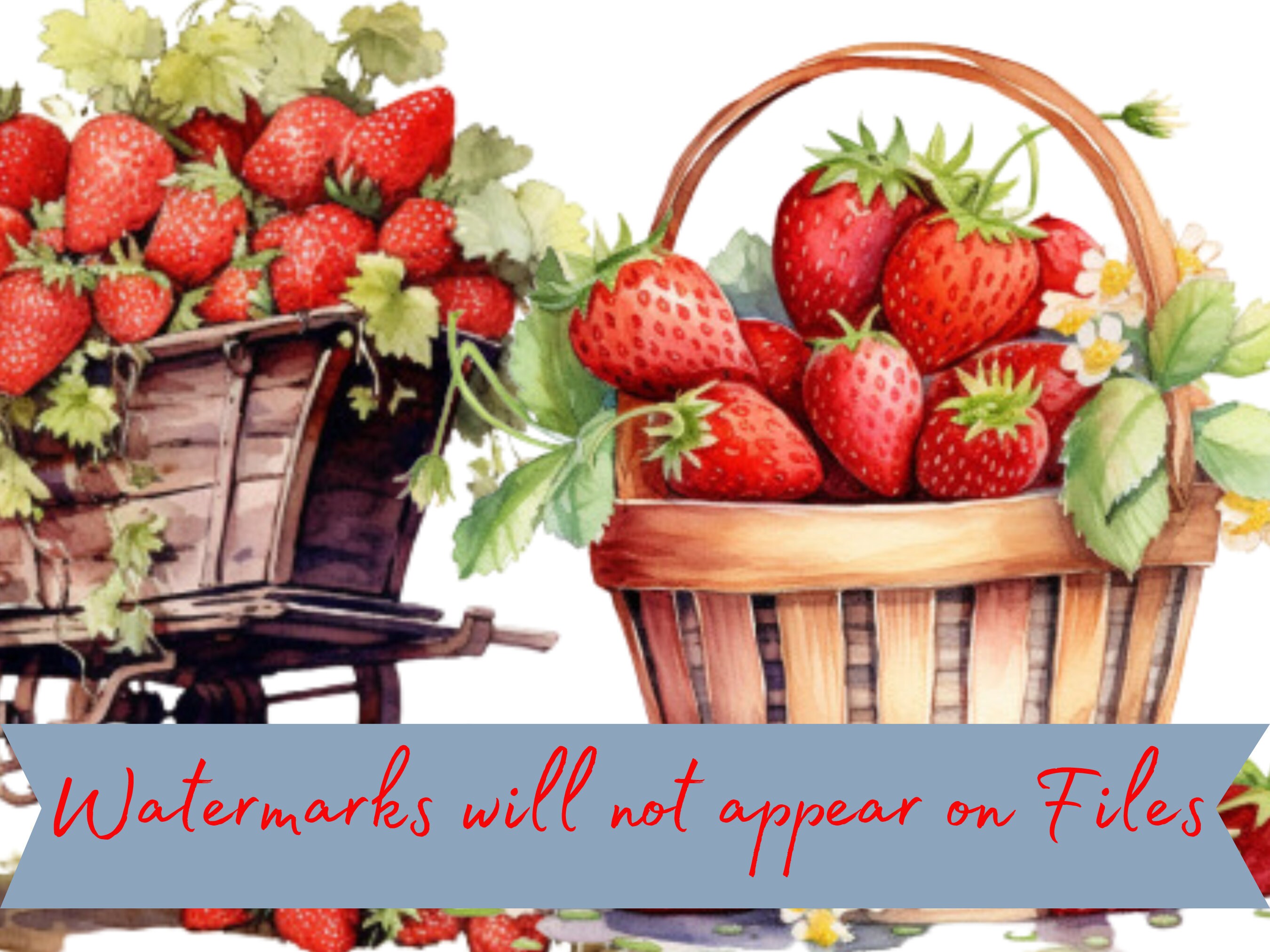 Watercolor Strawberry Png Clipart Bundle. 24 Digital Watercolor ...