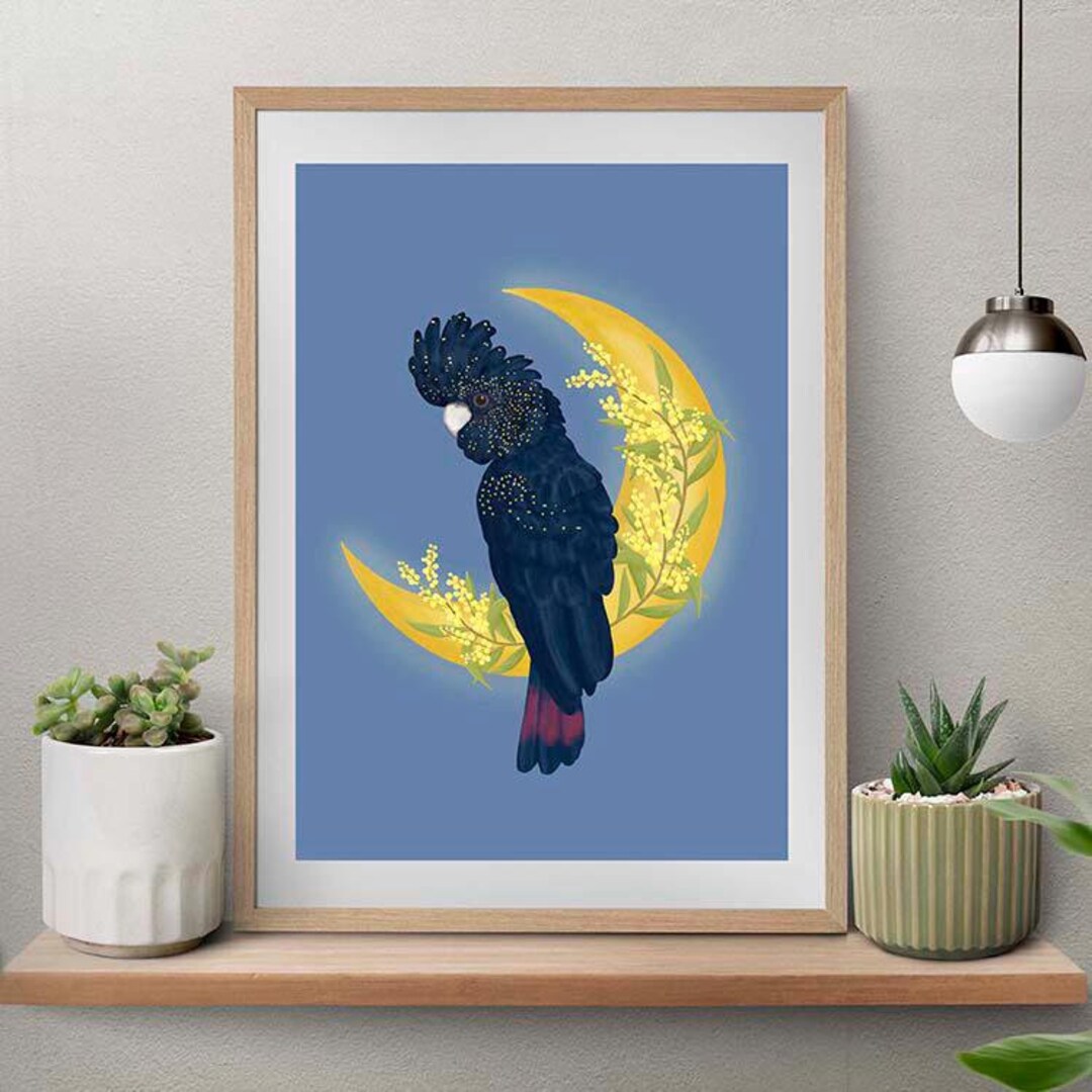 Black Cockatoo, Golden Wattle, Moon, Aussie Bird Print, Aussie Native ...