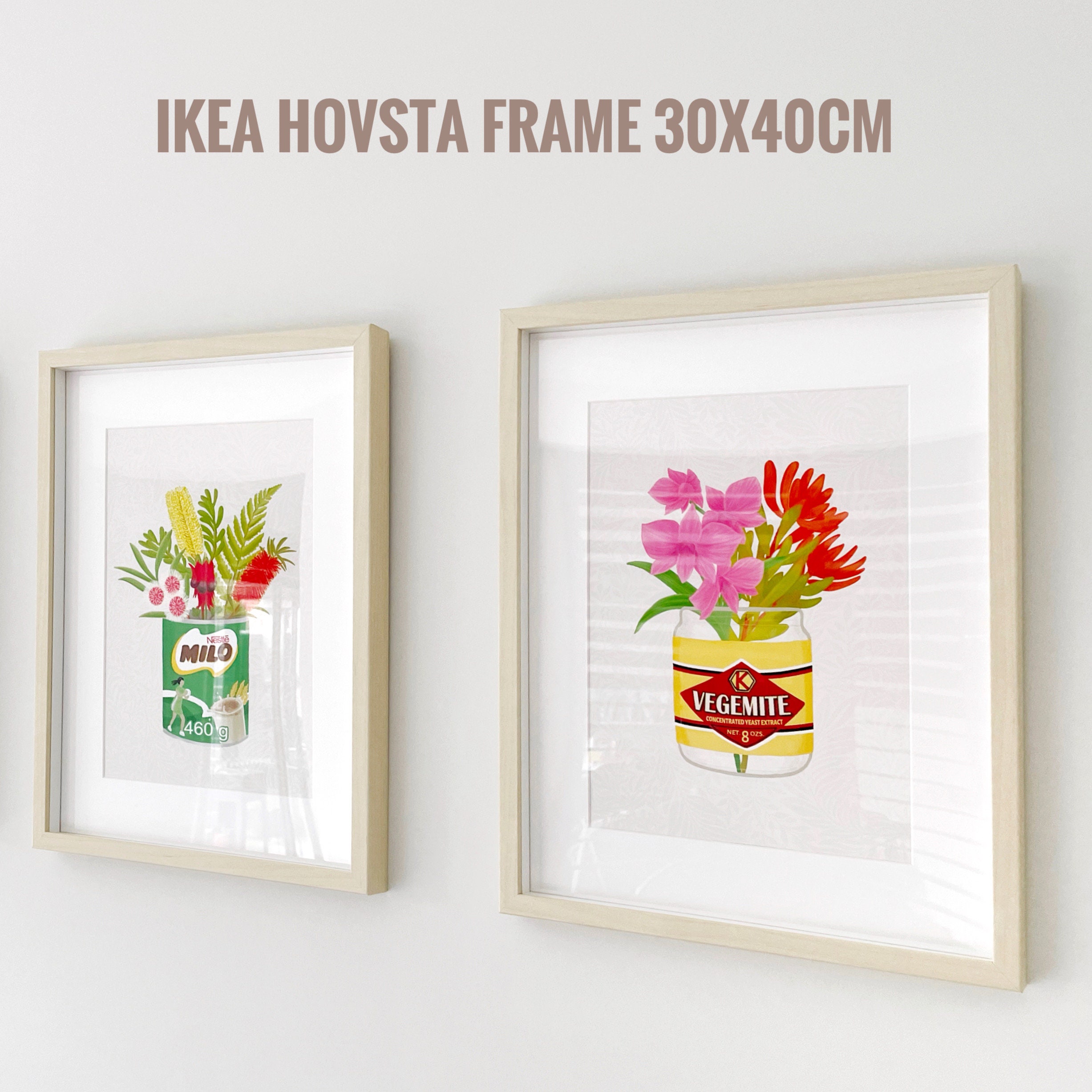 Australian Native Plants in Milo Tin, Illustration Print, Art Print ...