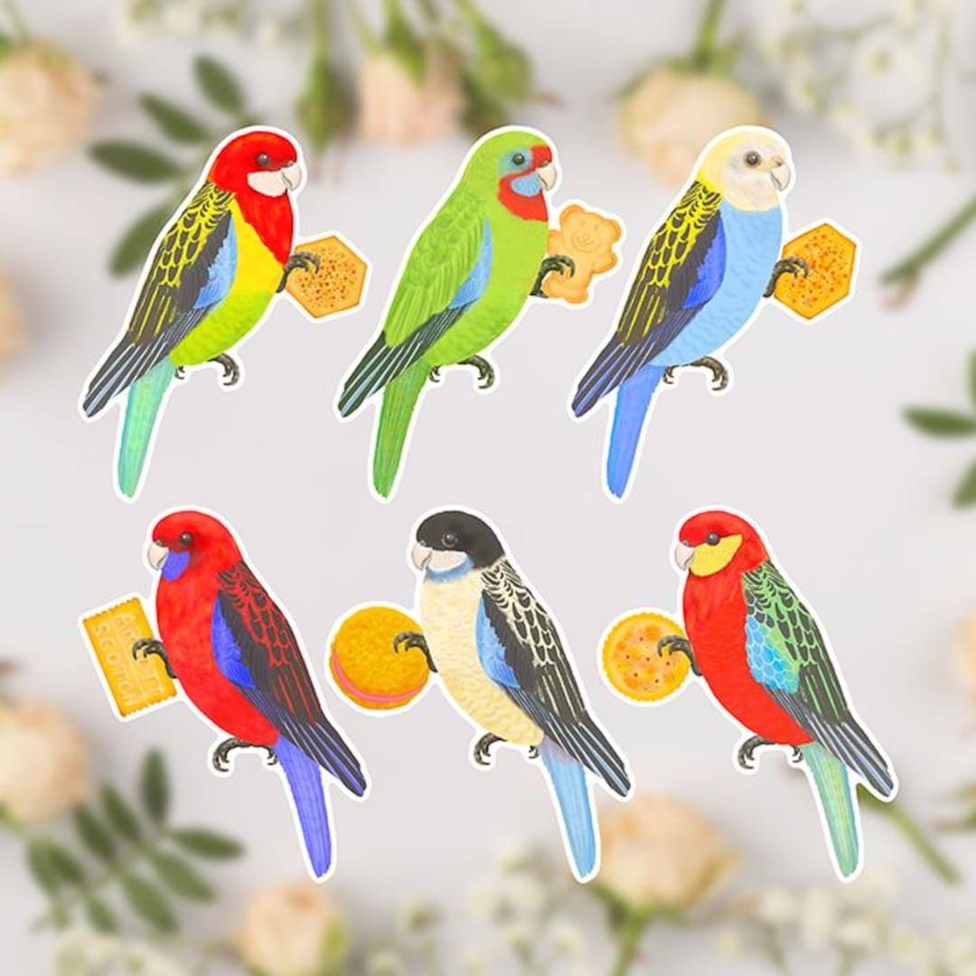 Aussie Rosellas & Bikkies, Die-cut Vinyl Sticker, Aussie Bird Sticker ...