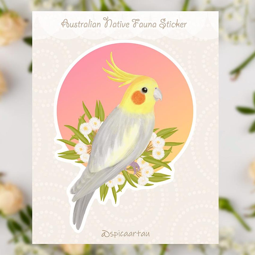 Cockatiel & White Flowering Gum Vinyl Sticker, Australian Native Bird ...