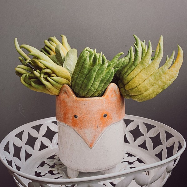 Fox Flower Pot - Etsy