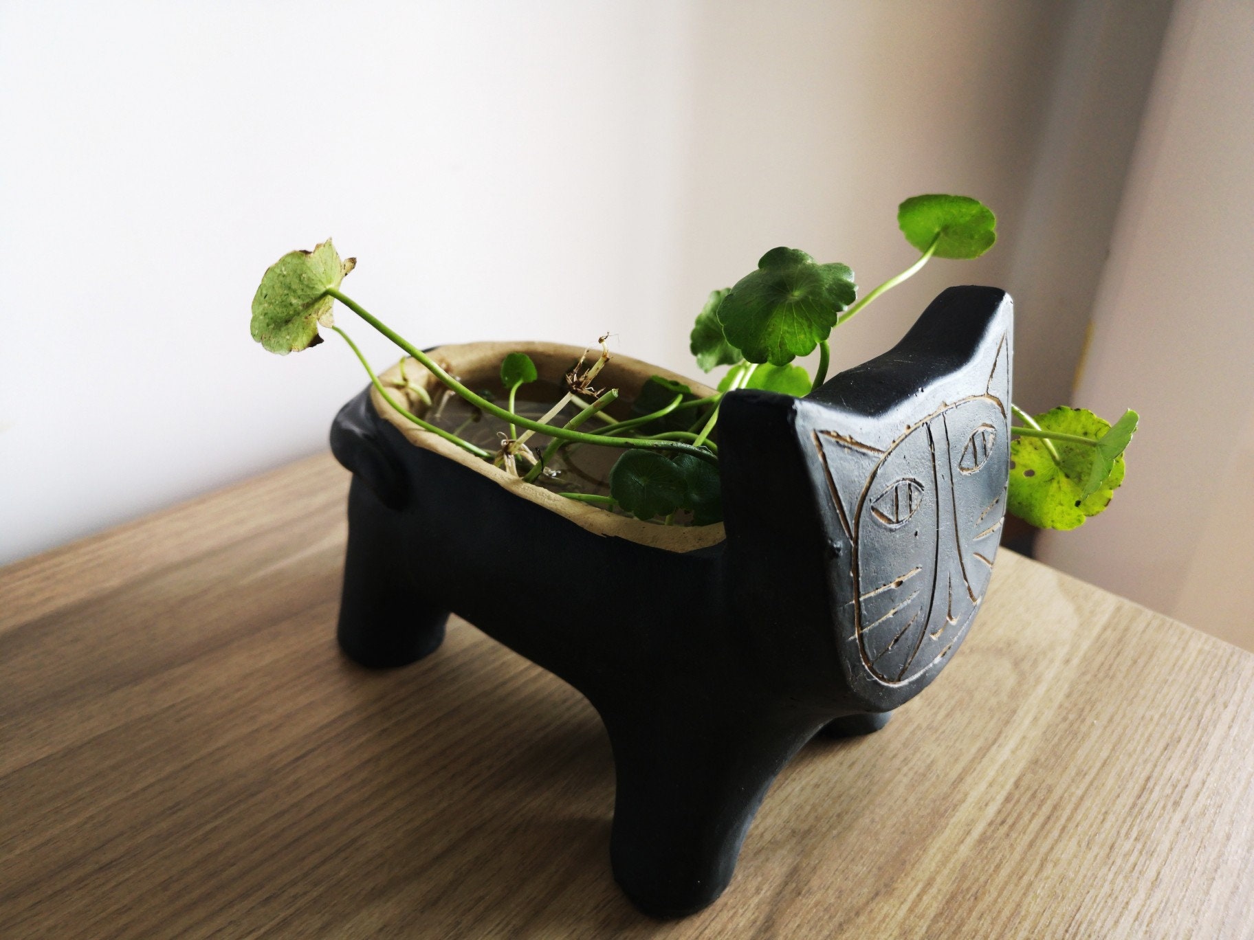 Concrete Planter, Black Kitty Pottery Indoor Flower Pot, Kitty ...