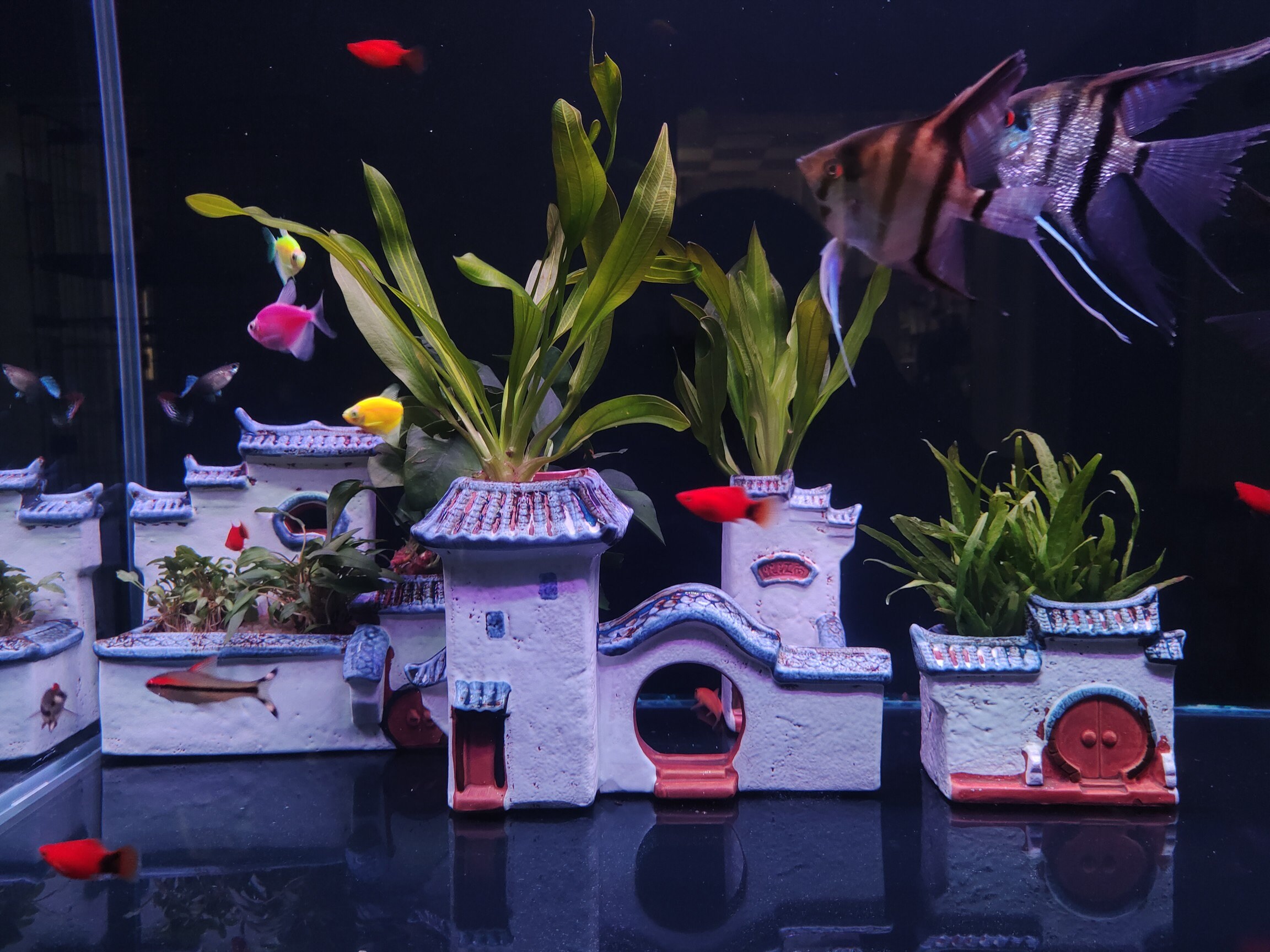 Asian Fish Tank Decorations