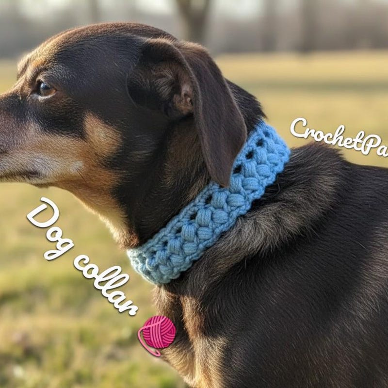 Crochet Dog Collar - Etsy