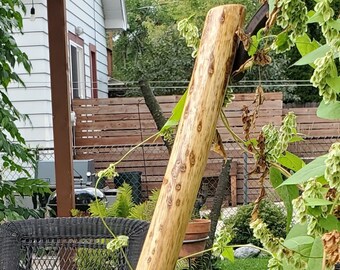 Cactus Walking Stick - Etsy