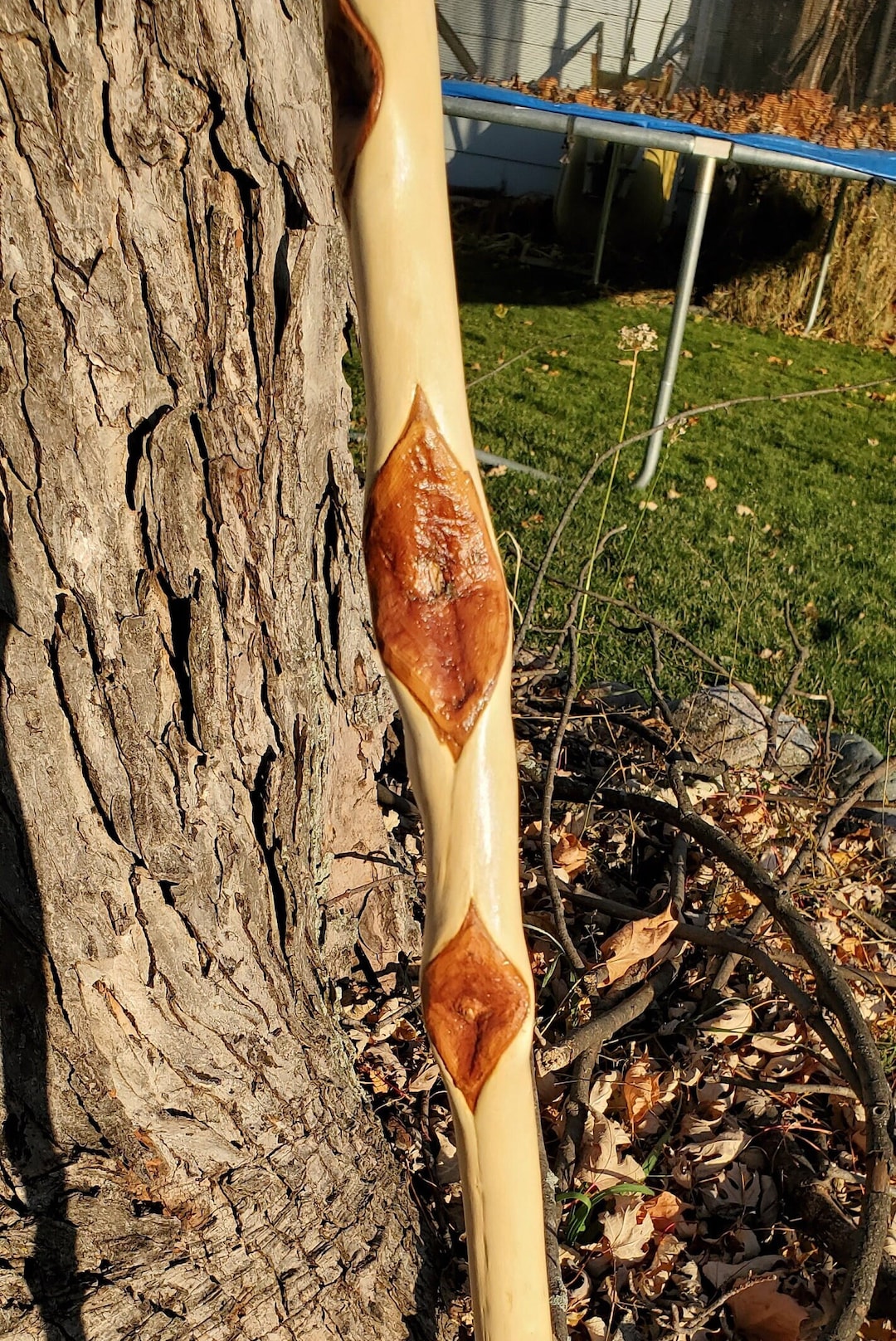 Diamond Willow Walking Stick, Hiking Stick, Walking Stick, Camping ...