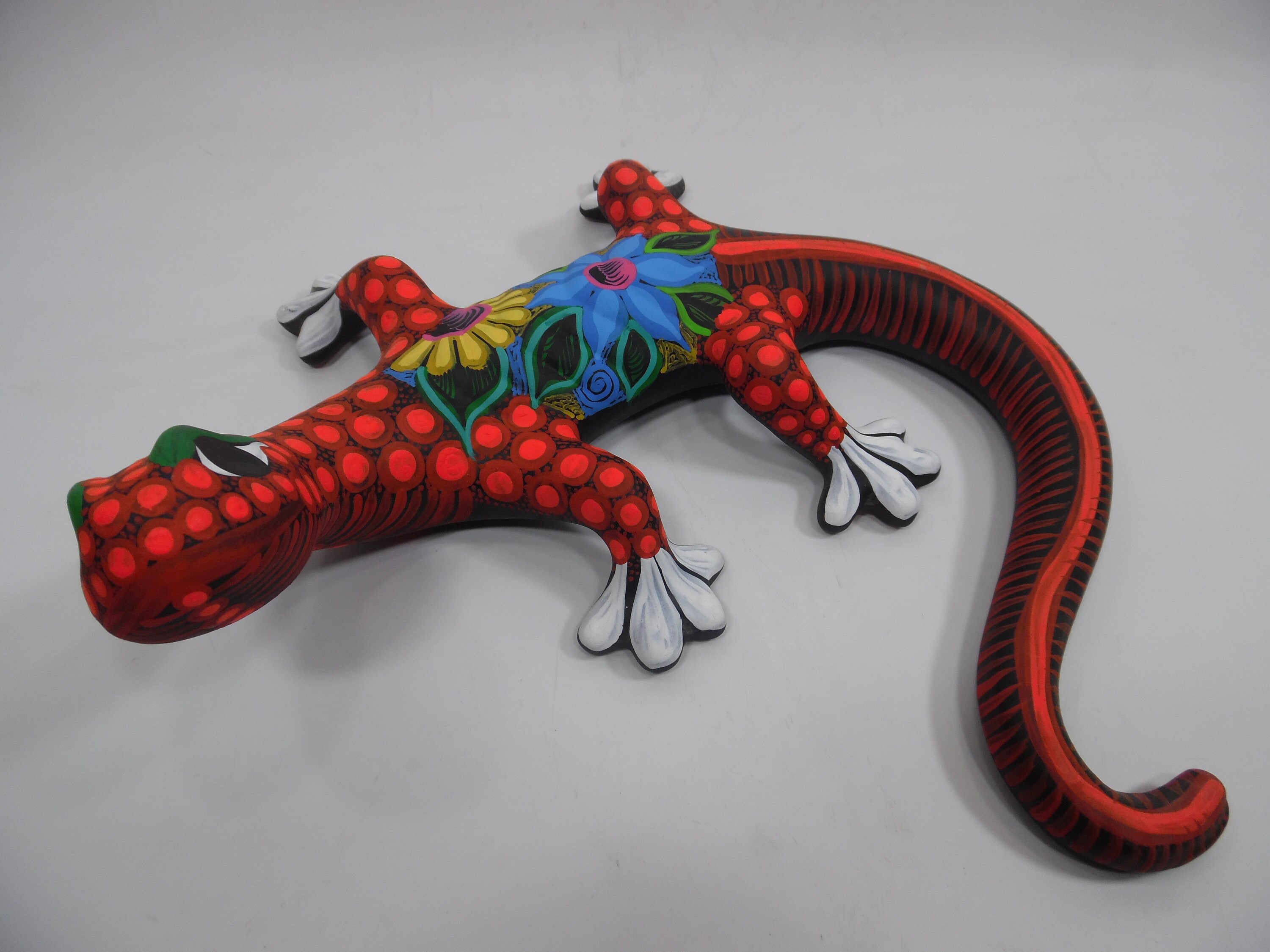 Mexican Clay Lizards