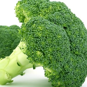 Welldales 50 Giant Green Broccoli Seeds Vegetable Calabrese Garden ...